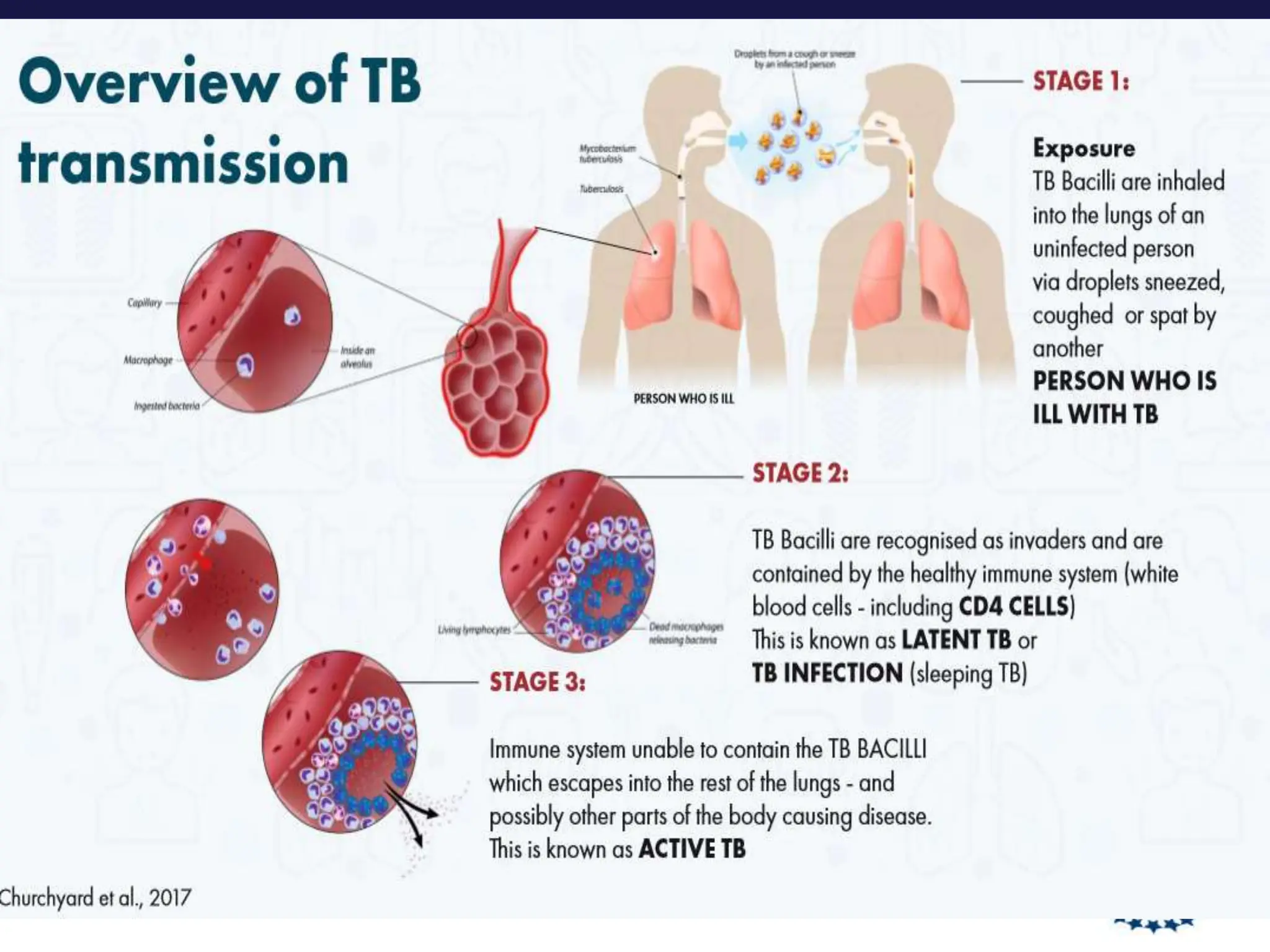 TPT in the field of medicine overview . f.pptx