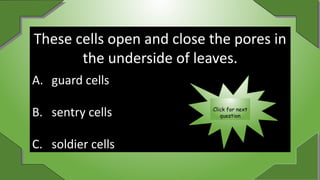Parts of the Flowering Plant Yr 9 Science.pptx