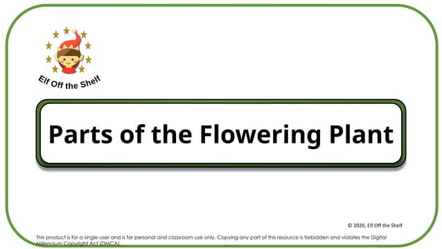 Parts of the Flowering Plant Yr 9 Science.pptx