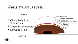 Ophthalmic presentation on Gonioscopy - A Simple overview | PPT