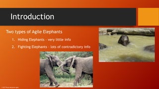 The agile elephant in the room | PPTX | Technology & Computing