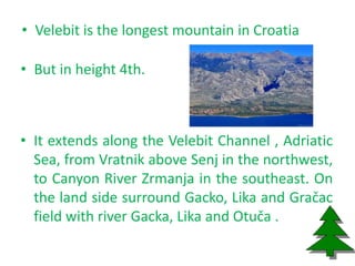National park Velebit | PPTX