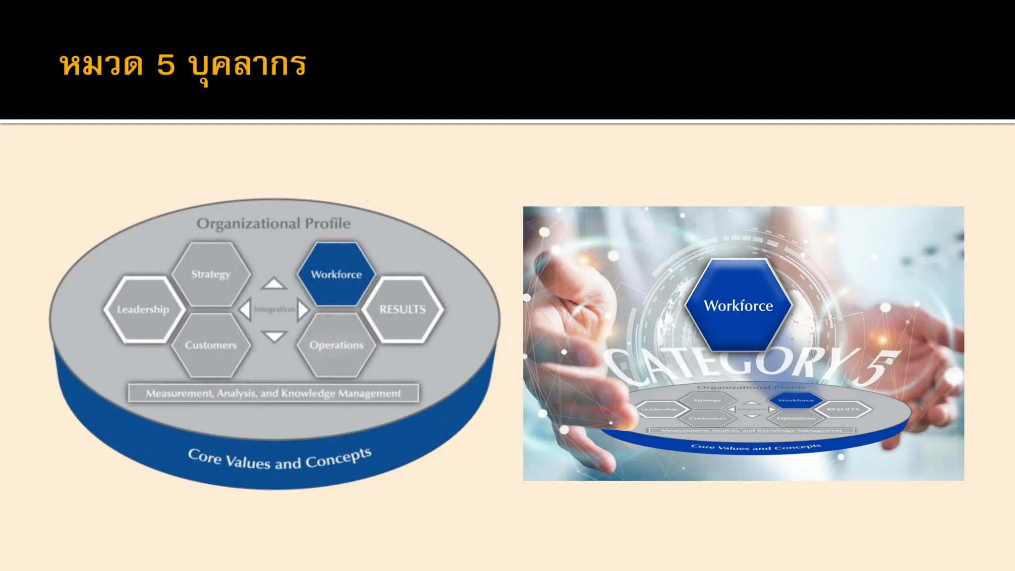 เกณฑ์รางวัลคุณภาพแห่งชาติ 2567-2568 TQA Criteria 2567-2568 by Diagram.pdf
