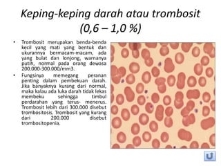 Sistem kardiovaskuler (kharisma) | PPT