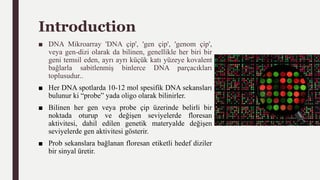 DNA Microarray | PPTX