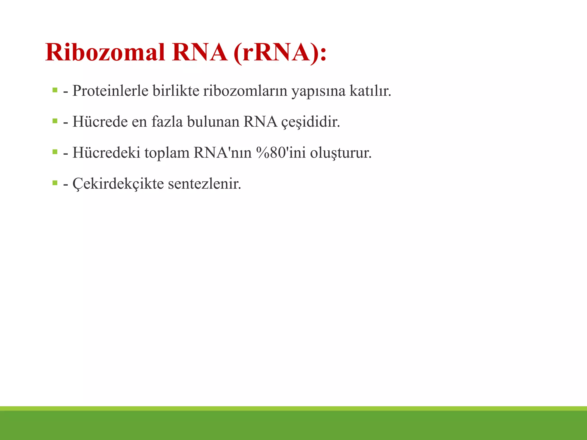 DNA ve RNA’nin Yapisi ve Ozellikleri | PPTX