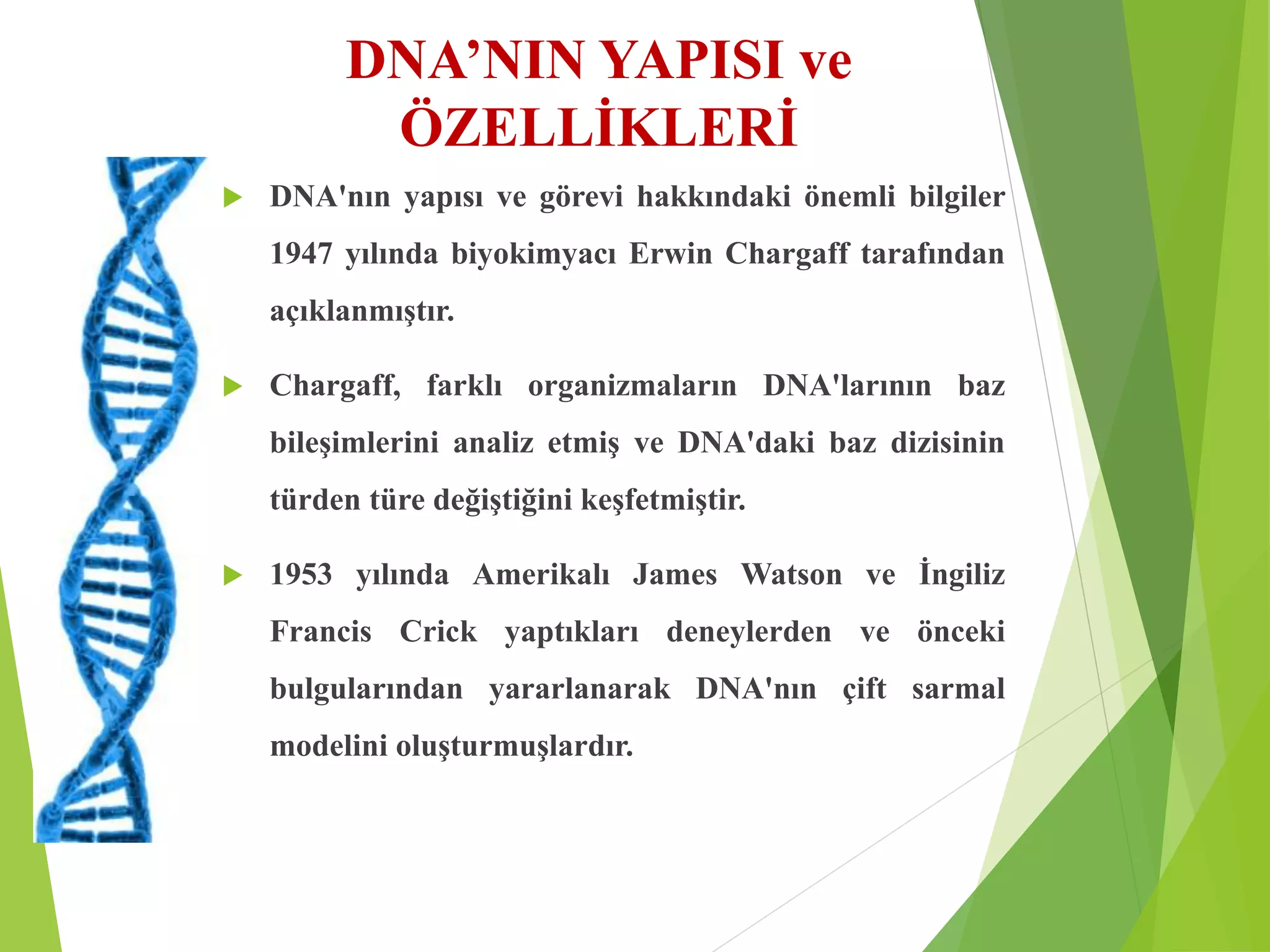 DNA ve RNA’nin Yapisi ve Ozellikleri | PPTX