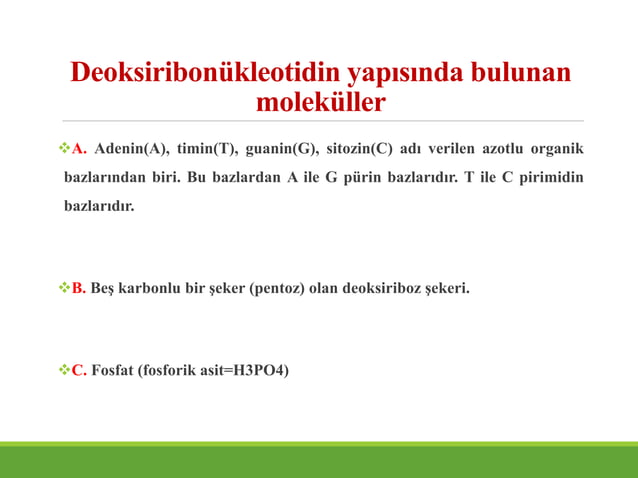 DNA ve RNA’nin Yapisi ve Ozellikleri | PPTX