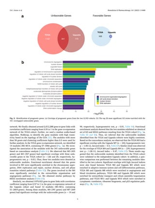 Biomedicine & Pharmacotherapy | PDF