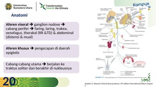 TR_2_Andreas_Cranial_Nerves_and_Pathway_2.ppt