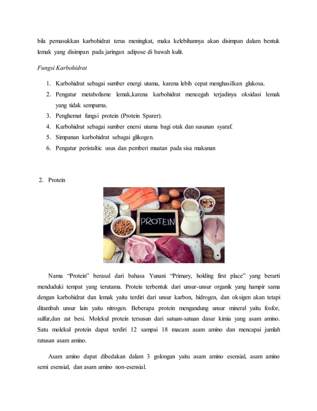 KARBOHIDRAT, PROTEIN, DAN LEMAK | PDF