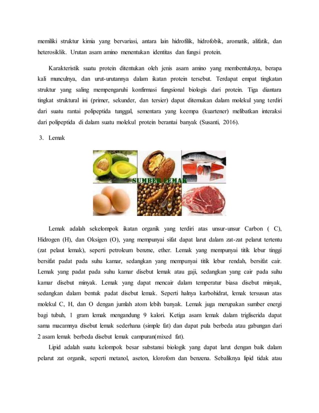 KARBOHIDRAT, PROTEIN, DAN LEMAK | DOCX