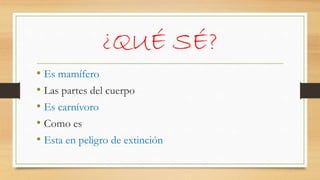 Demonio de Tasmania | PPTX