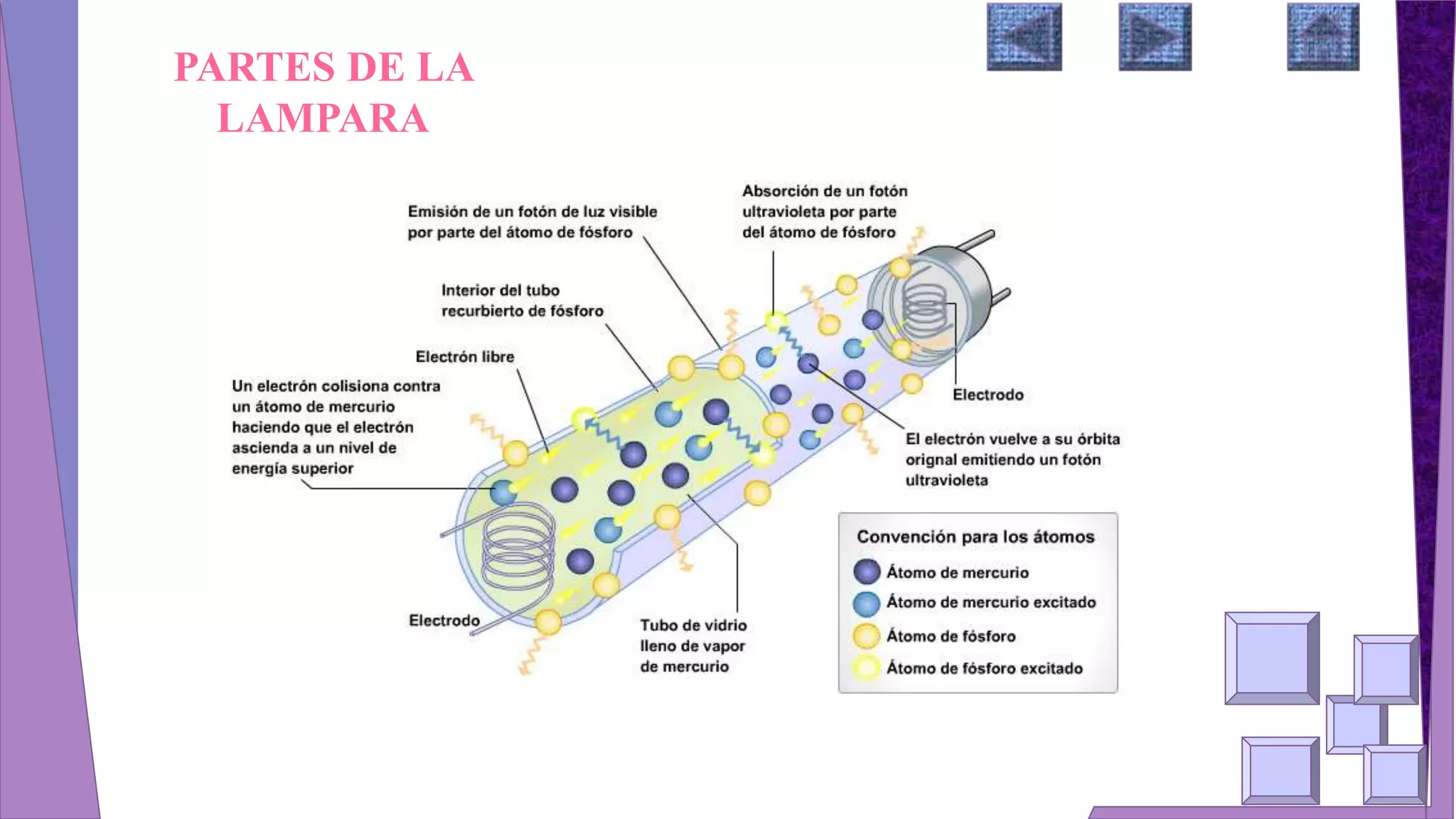 Tipos de luminarias | PPTX