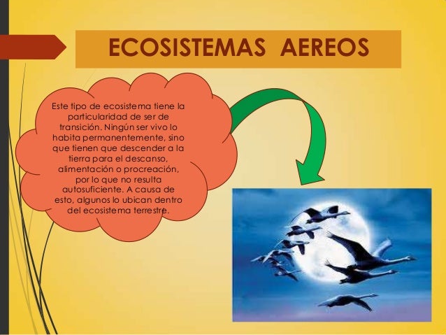 Ecosistema aereo - Imagui