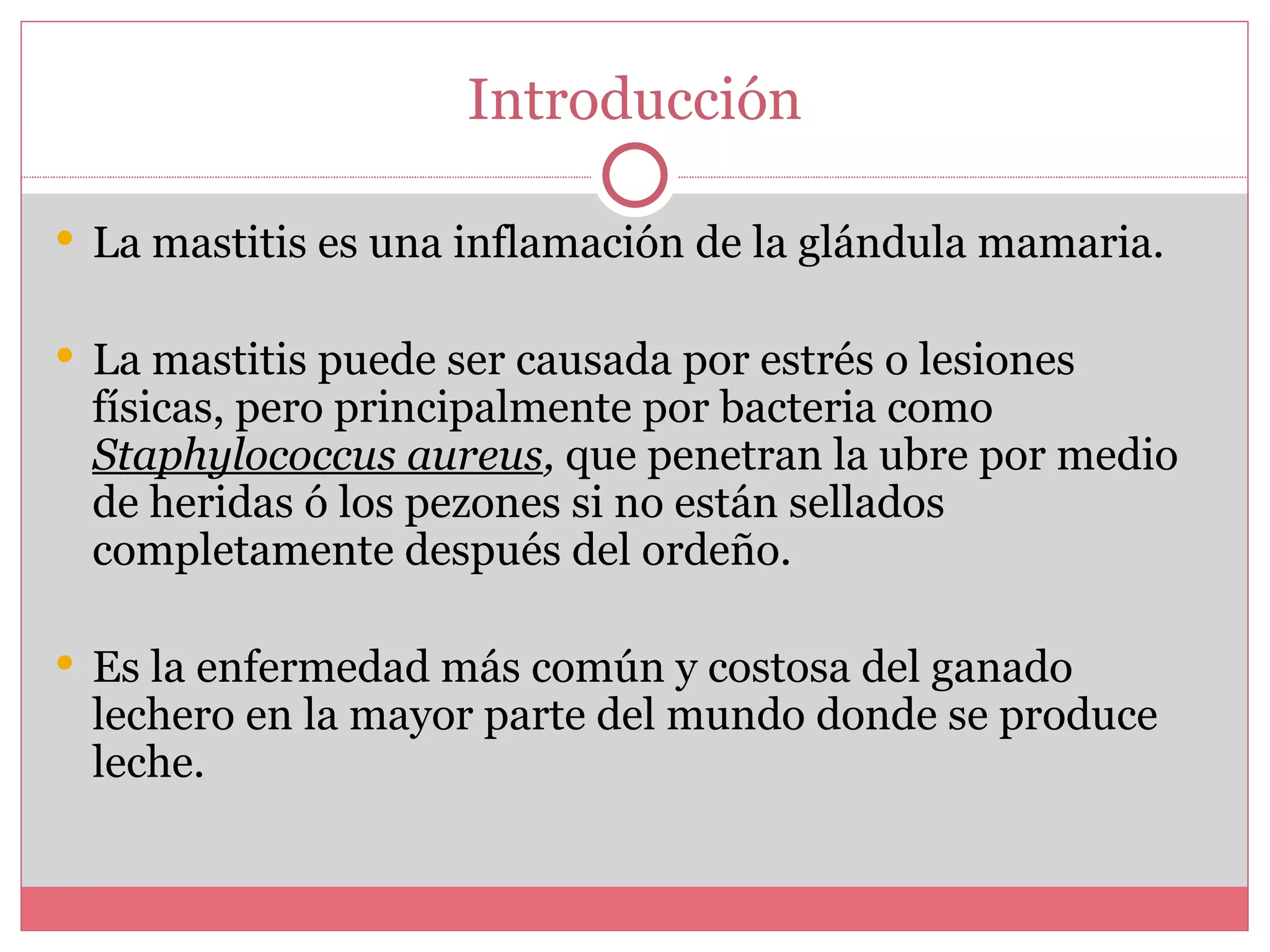 Como la mastitis afecta la calidad de produccion de leche en el ganado ...