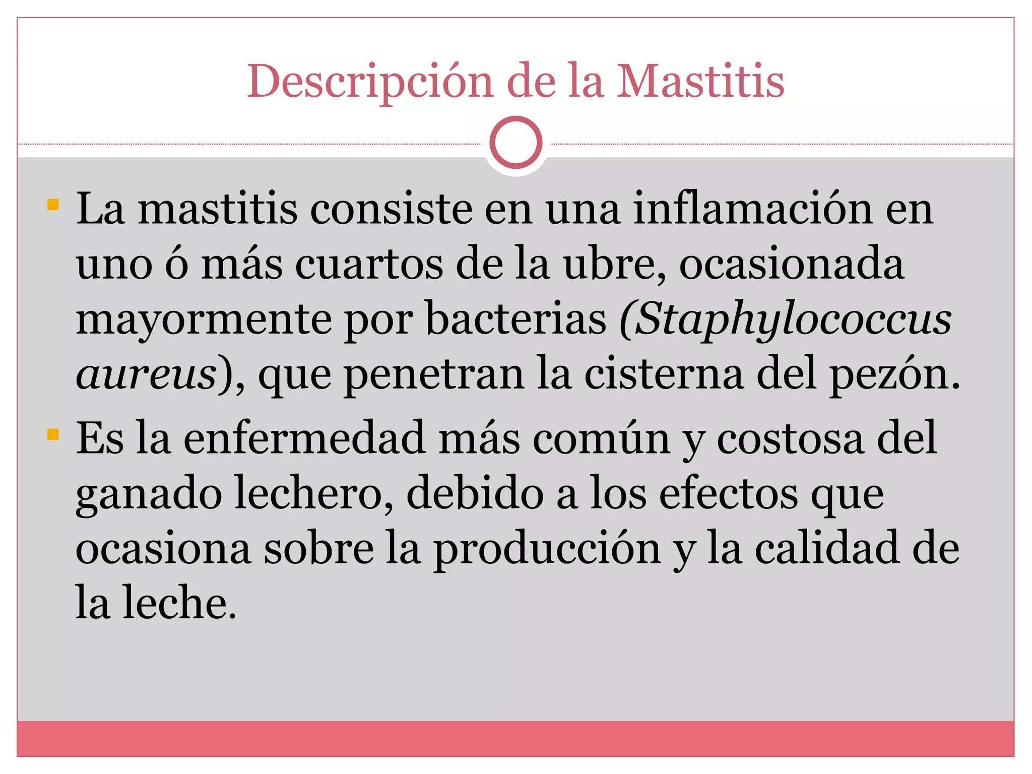 Como la mastitis afecta la calidad de produccion de leche en el ganado ...