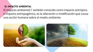 trabajo- maria vivas- arquitectura e impacto ambiental.pdf