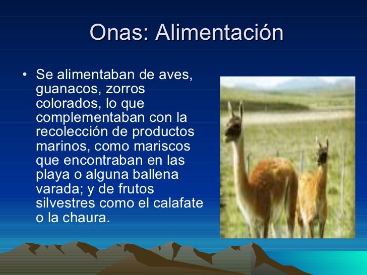 Trabajo Practico De Tehuelches Y Onas