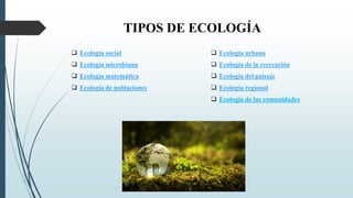 Tipos de ecologia y su importancia | PPTX