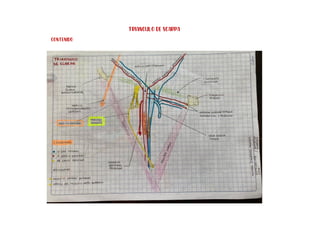 TRIANGULO DE SCARPA Y EL ROMBO POPLITEO | PDF