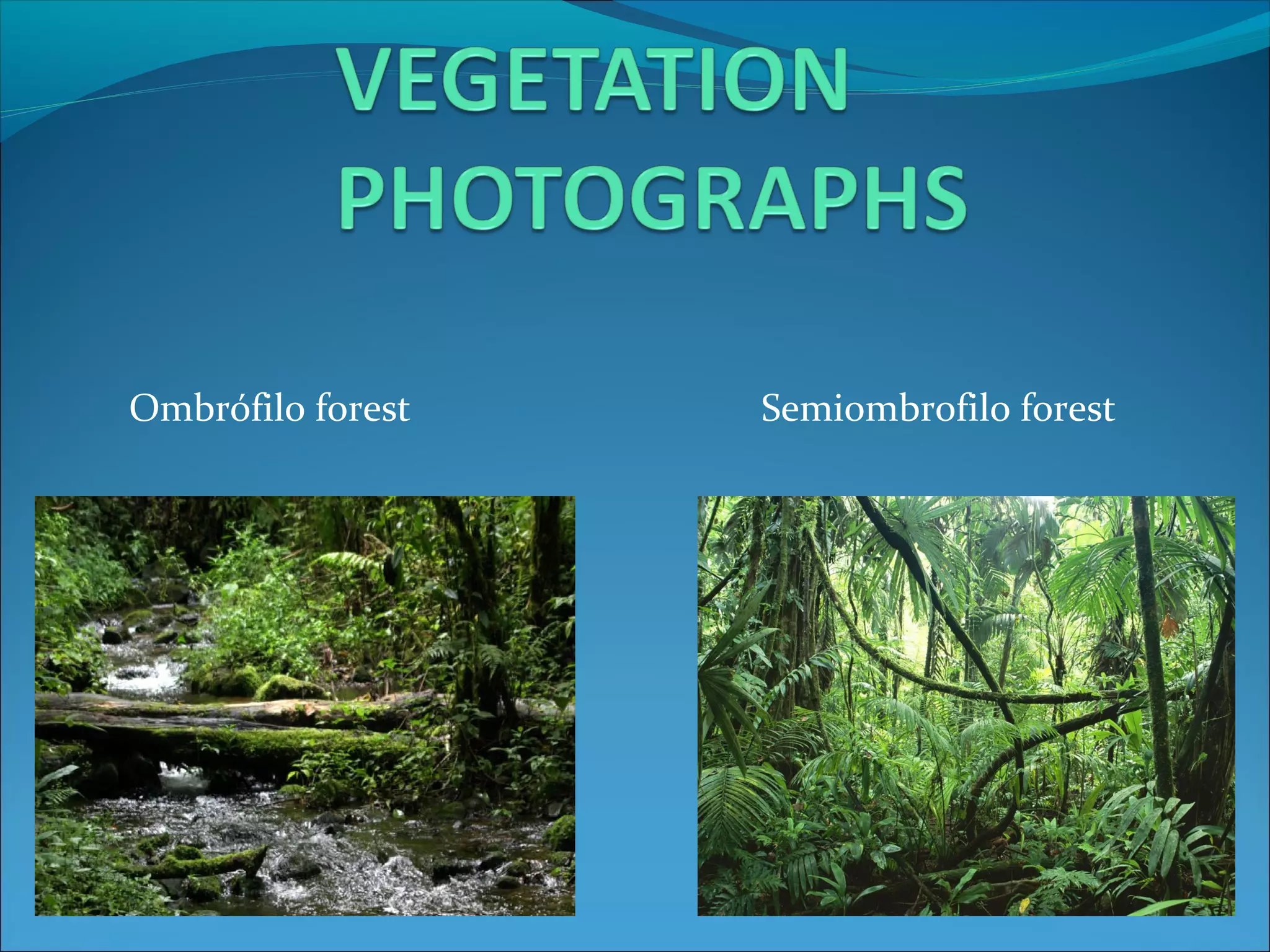 Equatorial Climate | PPT