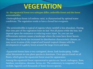 Equatorial Climate | PPT