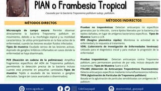 TRABAJO AUTÓNOMO DIAGNÓSTICO DE LAS PATOLOGÍAS BACTERIANAS | PDF