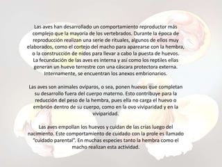 Trabajo aves, reptiles, mundo animal | PPTX