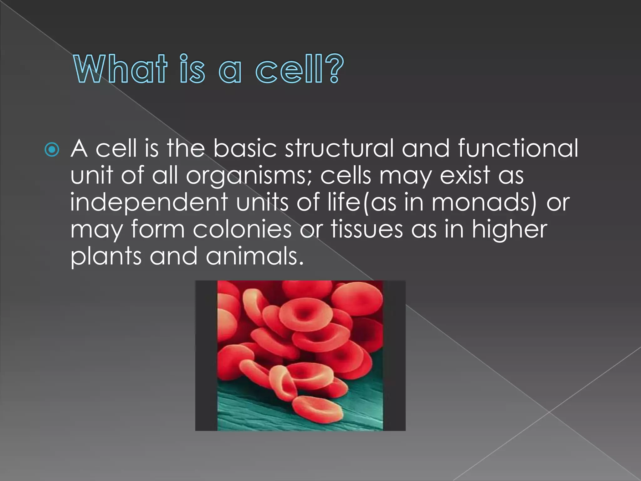 Types of Cells | PPTX | Biological Sciences | Science