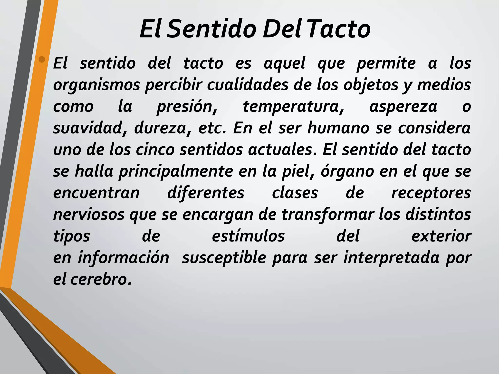 Sentido del tacto y de la vista. | PPT