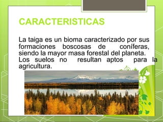 TRABAJO BIOMA TAIGA - GRUPO N°02.pptx