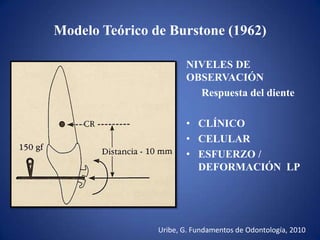 Conceptos básicos de Biomecánica | PPTX