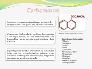 Carbamatos | PPTX
