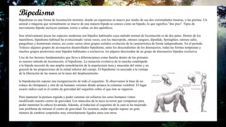 La evolución | ODP