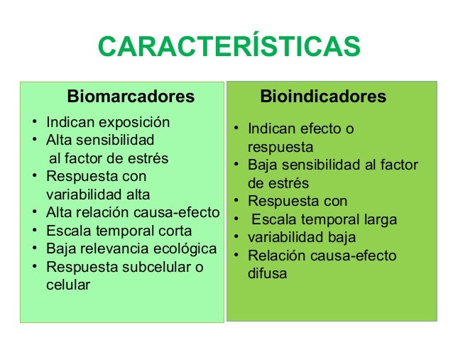 Trabajo colectivo ecologia bioindicadores