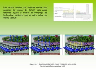 Techos verdes | PPSX