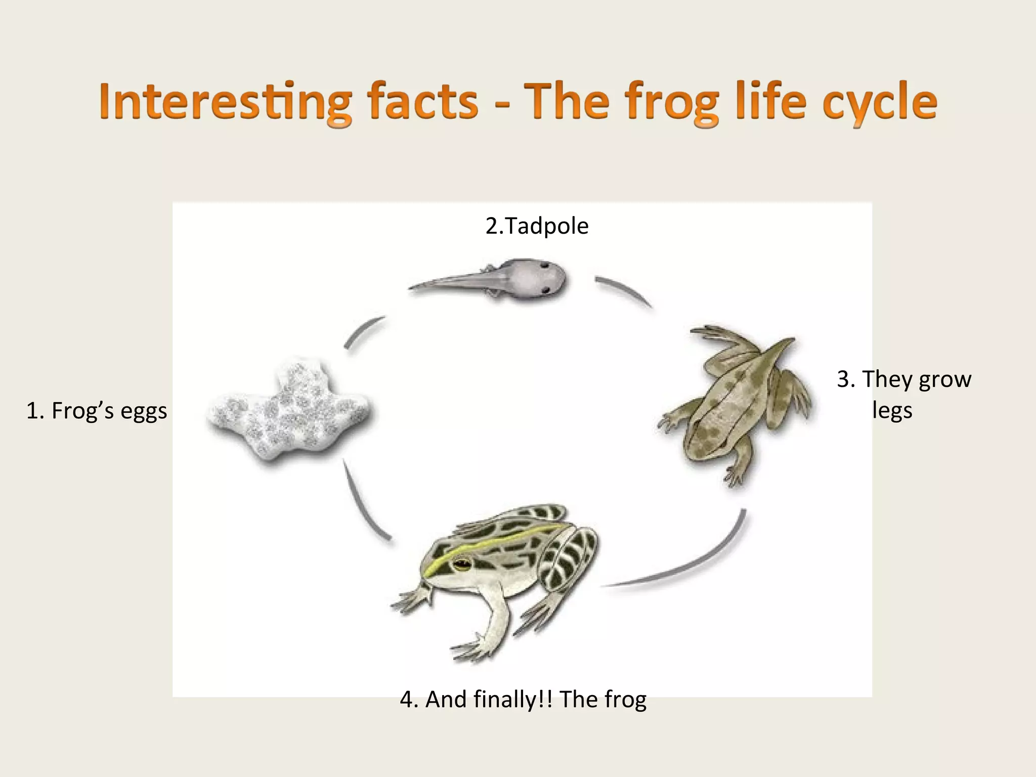 VERTEBRATES AND INVERTEBRATES | ODP