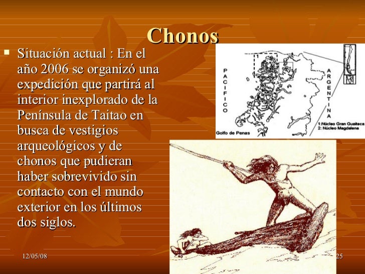 PUEBLOS INDIGENAS CHILENOS