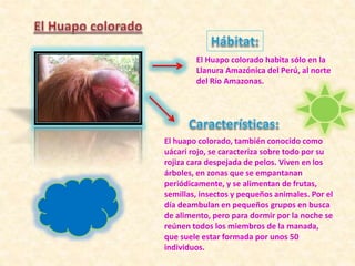 Los animales en peligro de extinción | PPTX