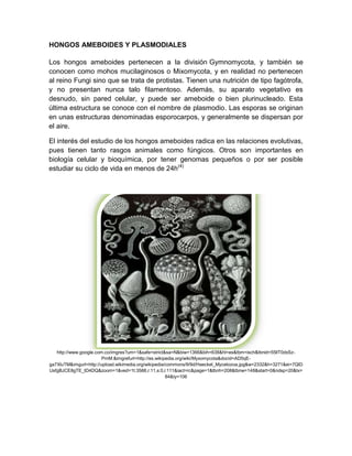 Trabajo de ameboides y plasmodiales | DOCX