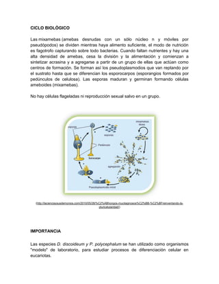 Trabajo de ameboides y plasmodiales | DOCX