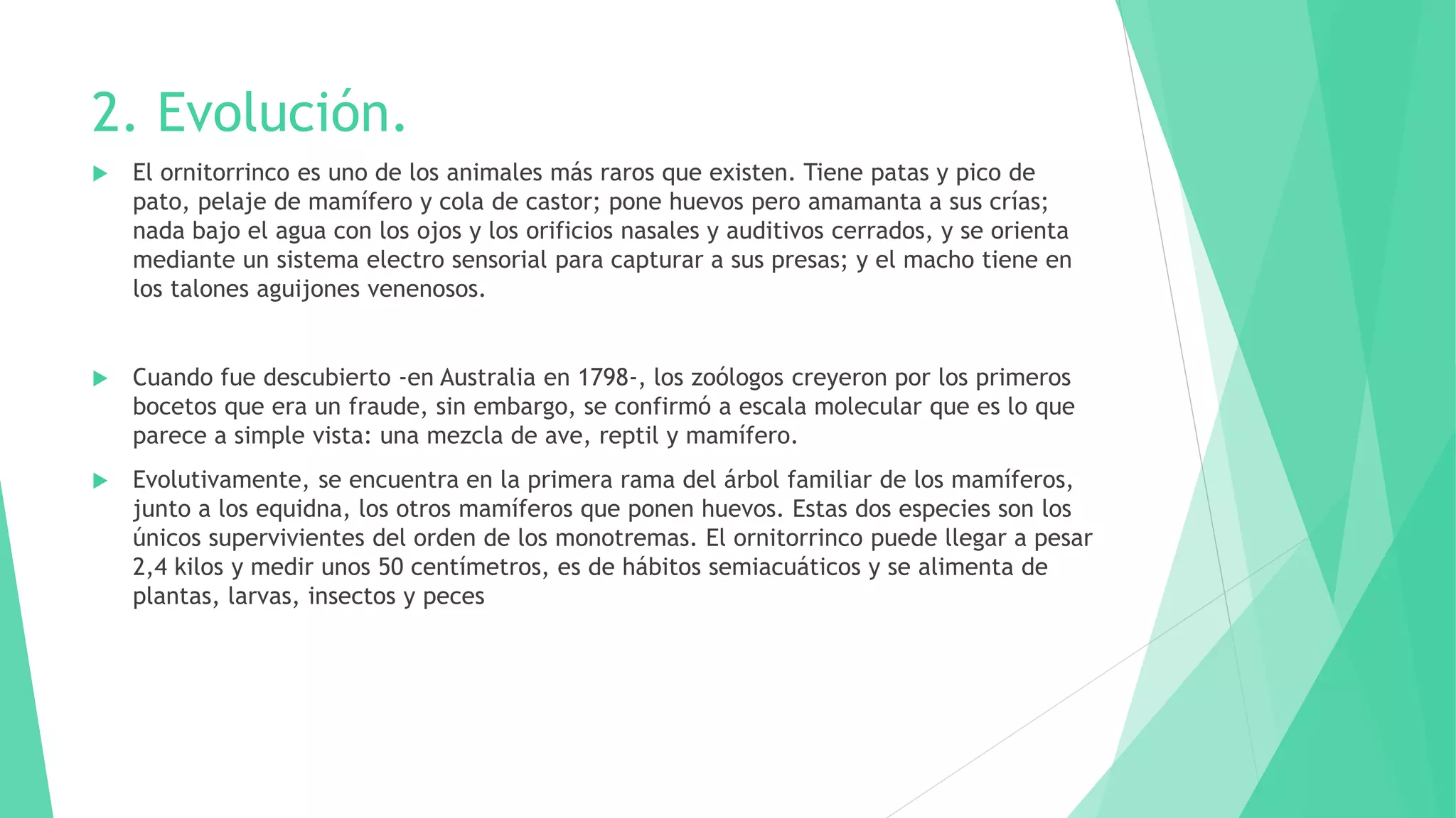 El Ornitorrinco | PPTX