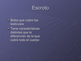 Sistema reproductor masculino | PPT