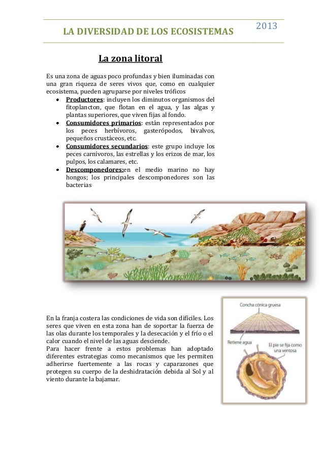 Diversidad De Ecosistemas