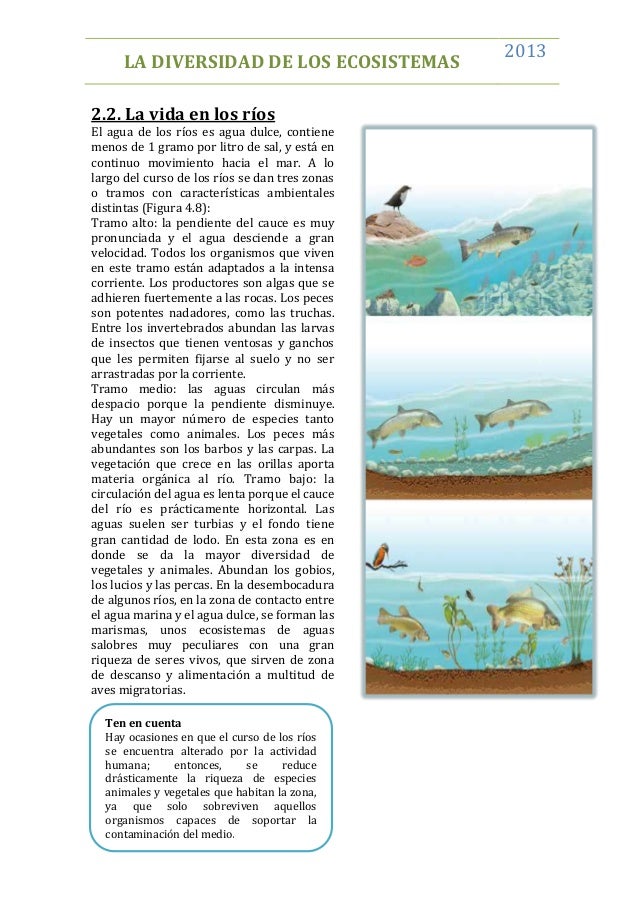 Diversidad De Ecosistemas