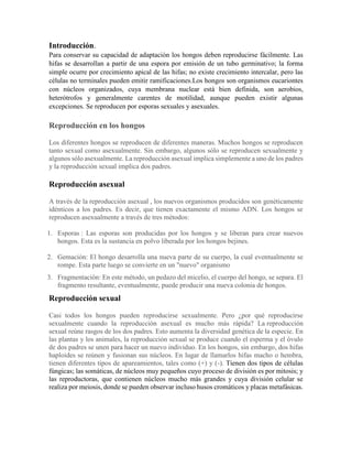 Hongos y las estructuras que dañan el cuerpo del animal | PDF