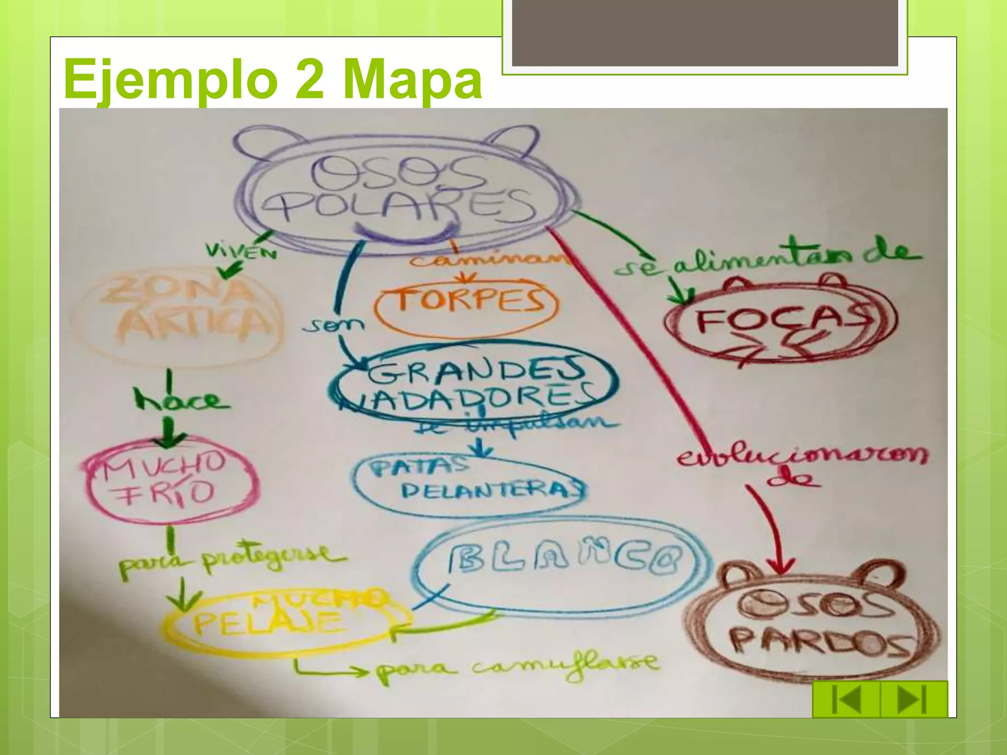 Mapas conceptuales en tercer curso de primaria | PPTX