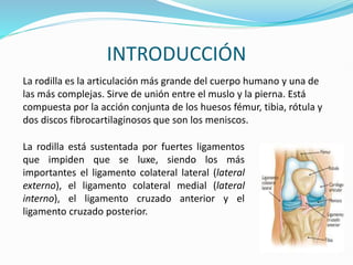 TRABAJO DE LIGAMENTOS CRUZADOS ANTERIOR PPT.pptx