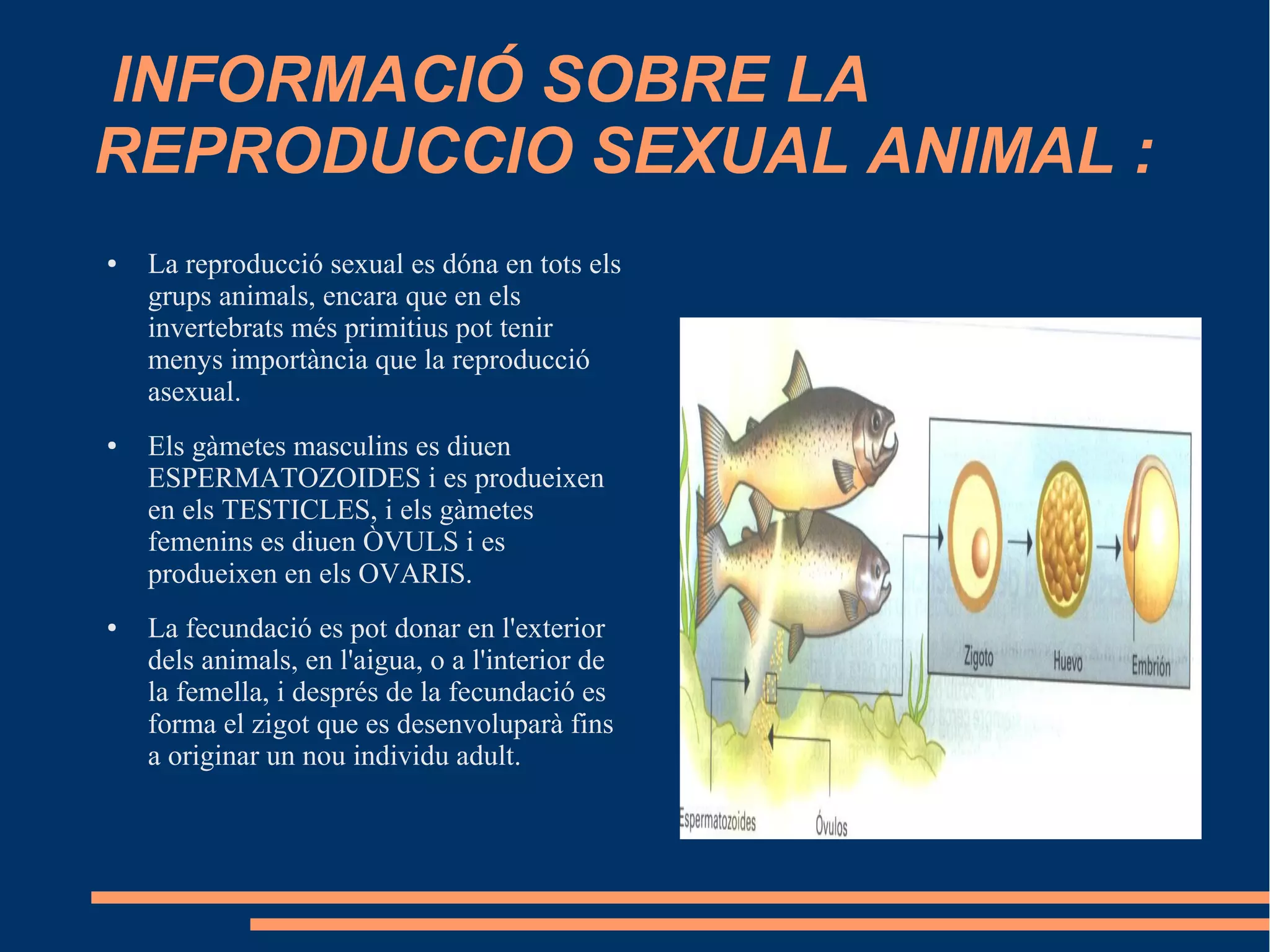 La reproducció animal (AInhoa) | ODP